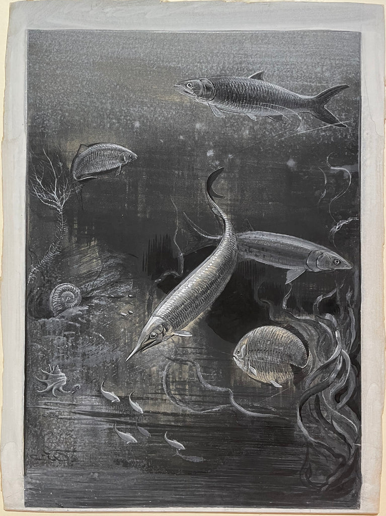 Charles Whymper (1853-1941), Fishes of the Jurassic Period – Arader ...
