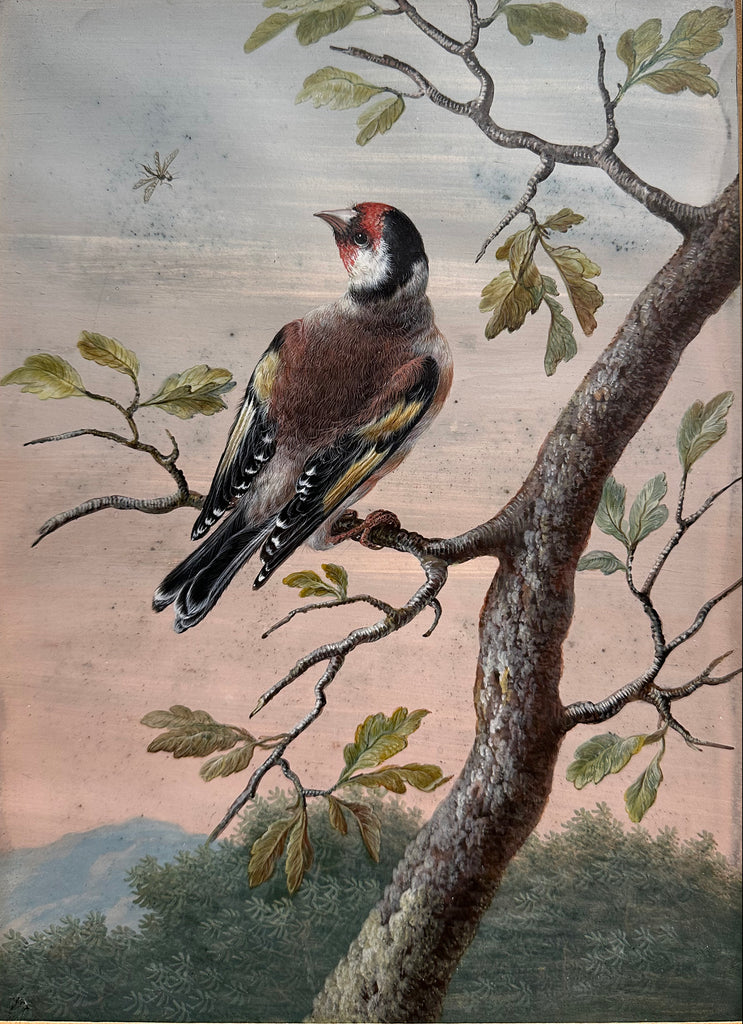 Christoph Ludwig Agricola (German 1667-1719), Goldfinch – Arader Galleries
