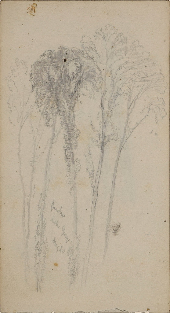 Samuel Colman (1832-1920), Santa Ynez, California – Arader Galleries