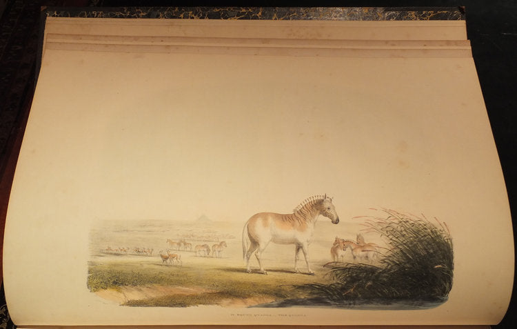 Captain W. Cornwallis Harris (1807-1848), Portraits of the Game and Wi ...