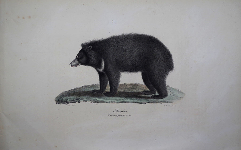 Frederic Cuvier (1769-1832) & Geoffroy Saint-Hilaire (1772-1844), Jong ...