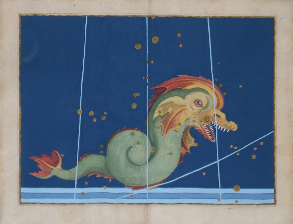 Johann Bayer (1572-1625), Piscis Notius – Arader Galleries