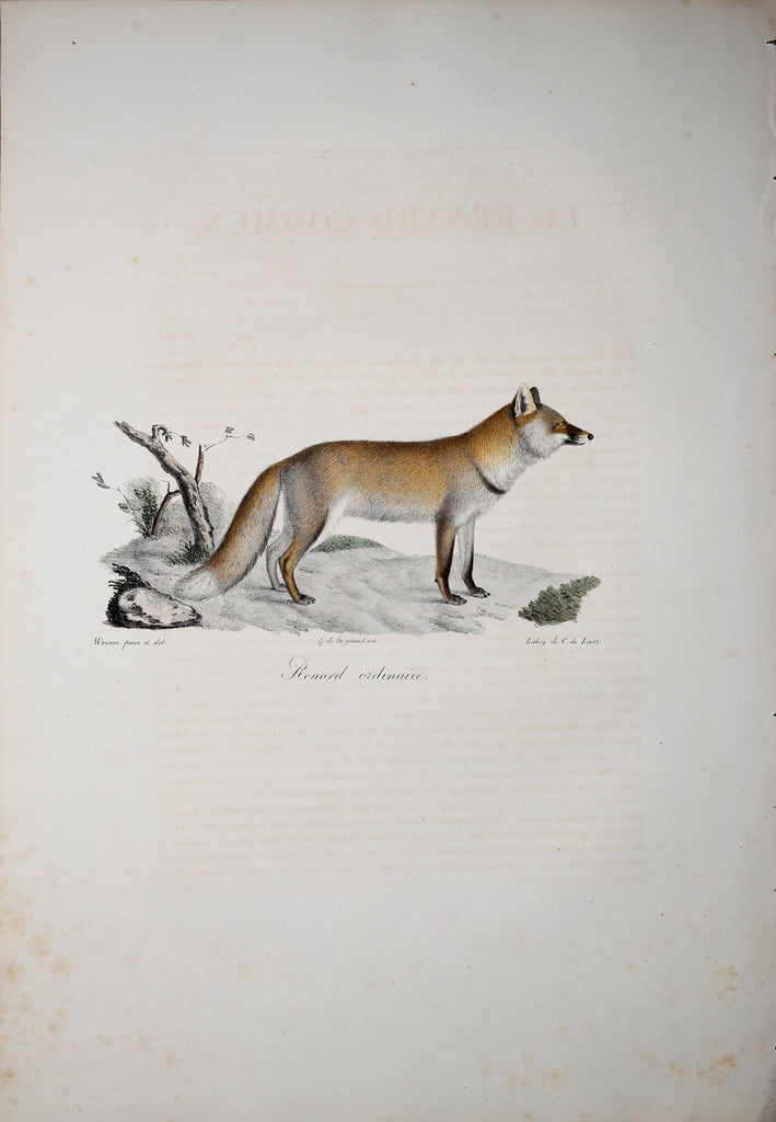 Frederic Cuvier (1769-1832) & Geoffroy Saint-Hilaire (1772-1844), Rena ...