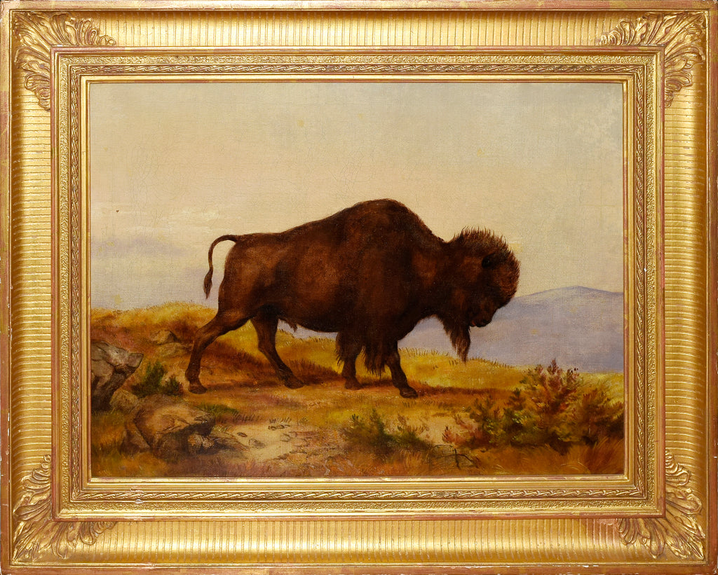 Alfred Sully (1820-1879) Bison Bull – Arader Galleries