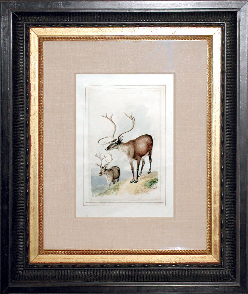 Samuel Howitt (British, 1765-1822) Stags – Arader Galleries