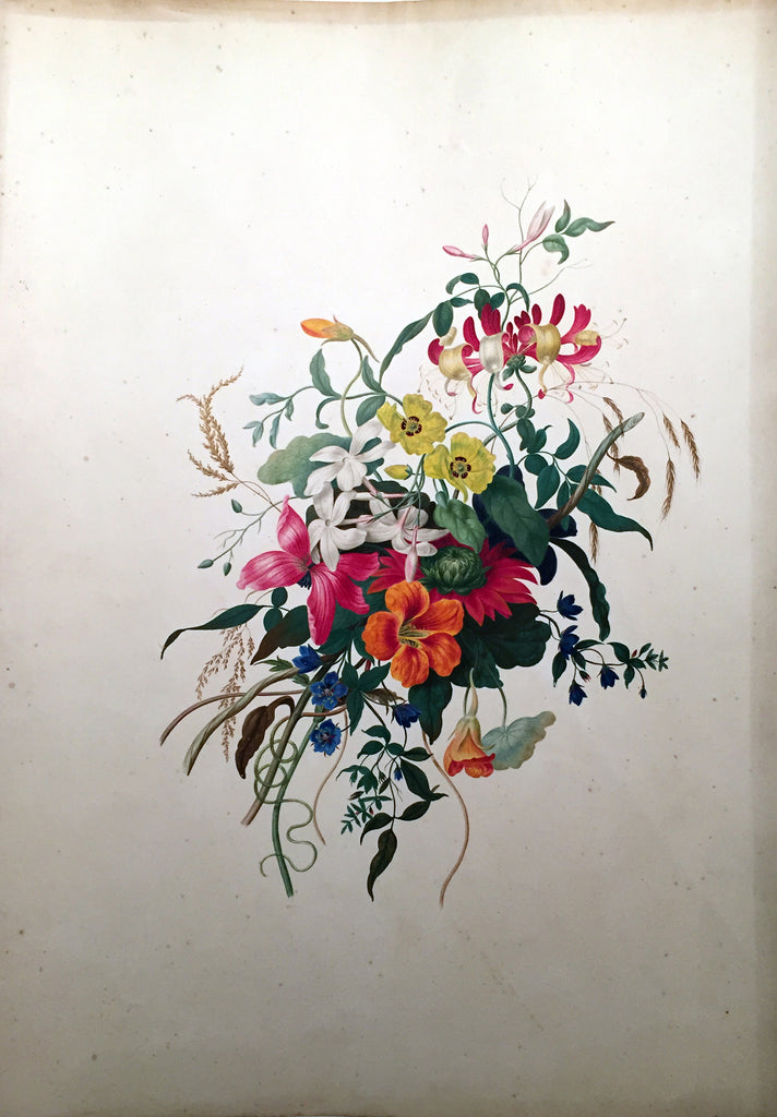 Ferdinand Bauer (Austrian, 1760-1826), Bouquet – Arader Galleries
