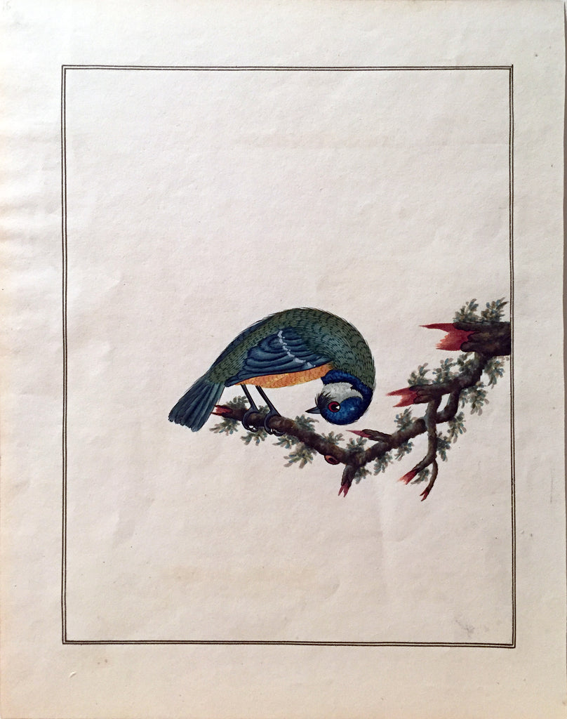 Charles Hayes (British, 1772-1826), Untitled [no. 15] – Arader Galleries