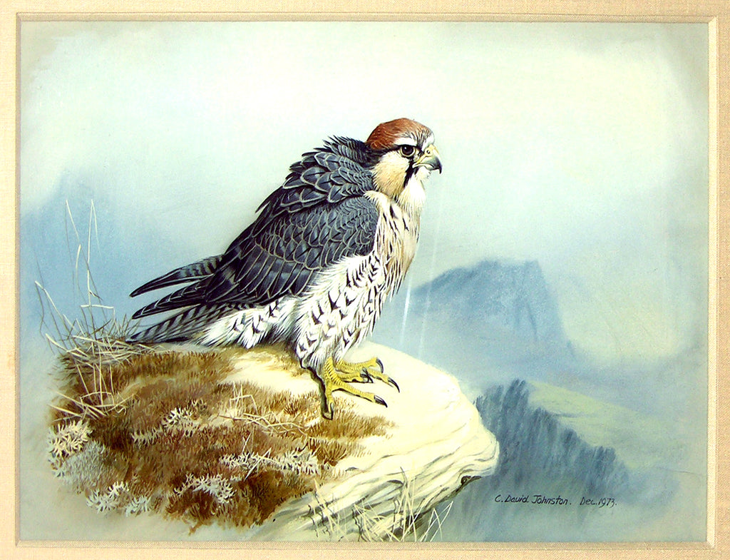David Johnston (1946 - 2016), Falcon – Arader Galleries