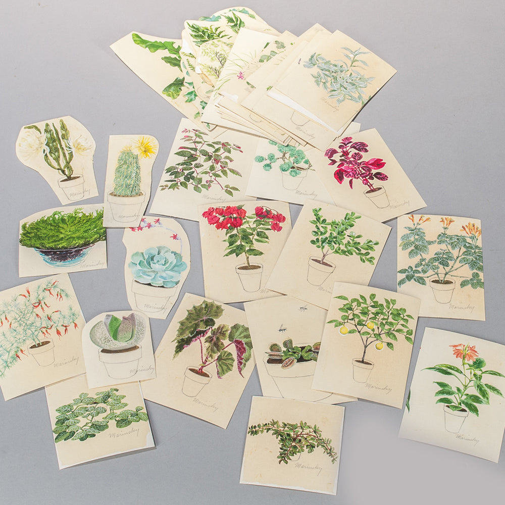 Harry Marinsky (American, 1909-2008), Original watercolors of plants p ...