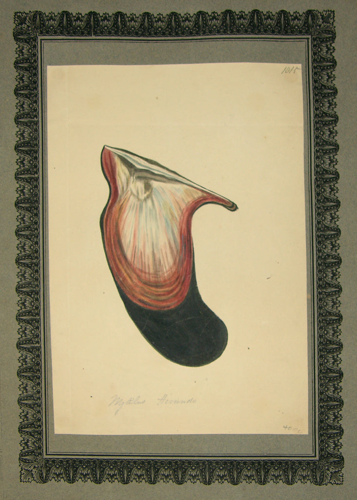 FREDERICK NODDER (BRITISH, FL. 1770 – C. 1800) & RICHARD POLYDORE NODD ...