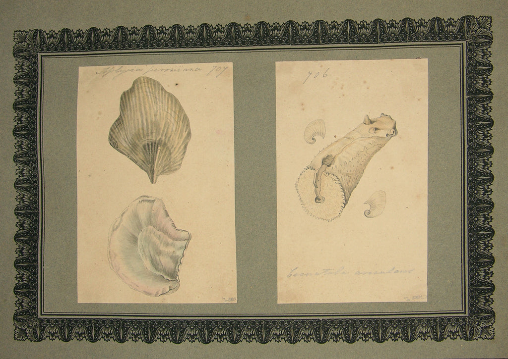 FREDERICK NODDER (BRITISH, FL. 1770 – C. 1800) & RICHARD POLYDORE NODD ...