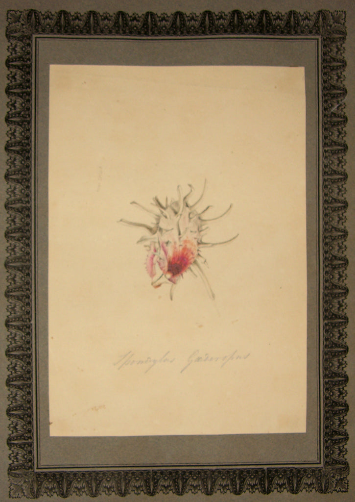 FREDERICK NODDER (BRITISH, FL. 1770 – C. 1800) & RICHARD POLYDORE NODD ...